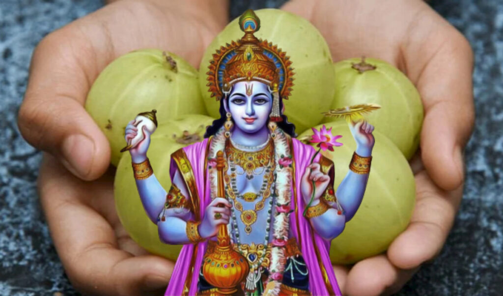 Amla Navami- What Is It? Why Is It Celebrated?