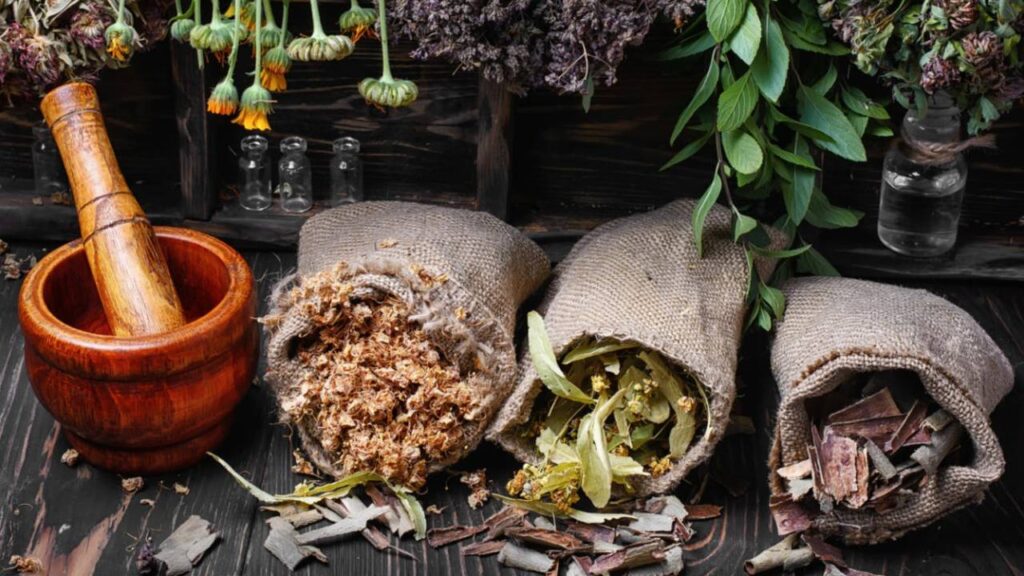 Shankhpushpi: Benefits of Its Flower, Leaves, Roots & Seeds