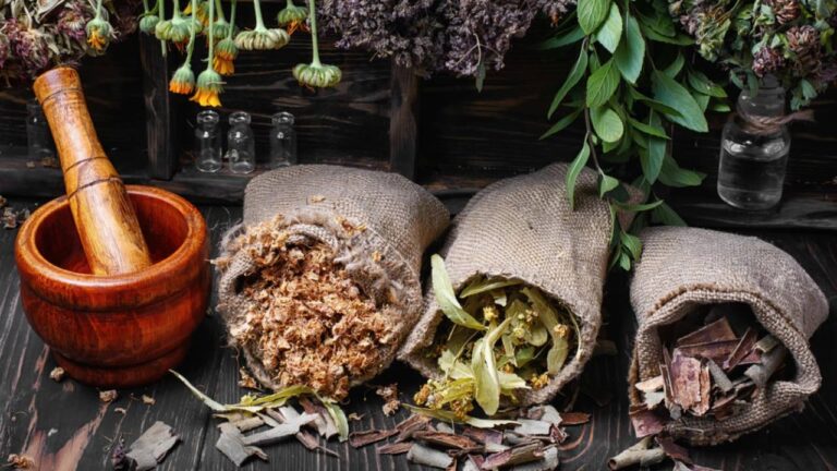 Sarsaparilla (Anantamul) : Benefits, Risks, Dose & Side Effects