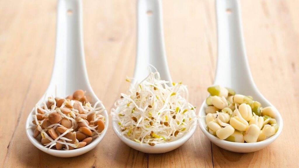 Ayurvedic Herb Brahmi (Bacopa Monnieri) Uses, Benefits, Side Effects