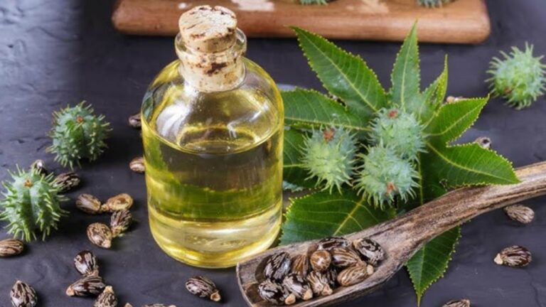 Eranda Taila (Castor Oil) Ayurveda Uses, Benefits & How to Use