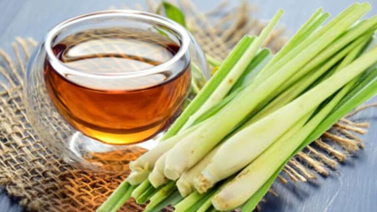 Gavati Chaha In English: Health Benefits, Uses, & Side Effects