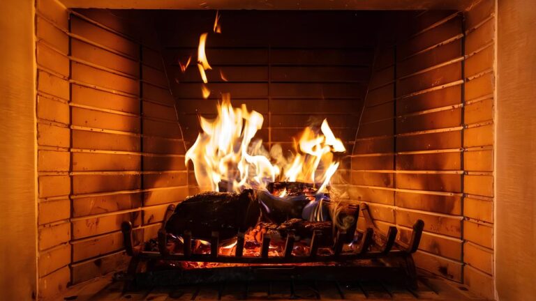 Srotas: Understanding the Channels of Circulation in Ayurveda