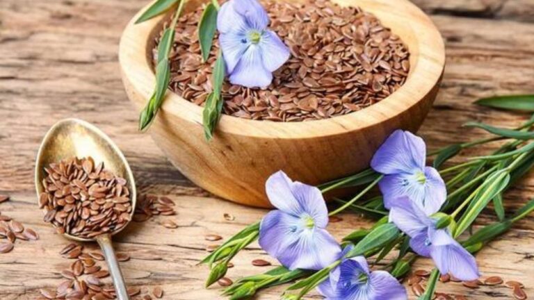 Kativasti: The Ancient Ayurvedic Therapy for Back Pain Relief