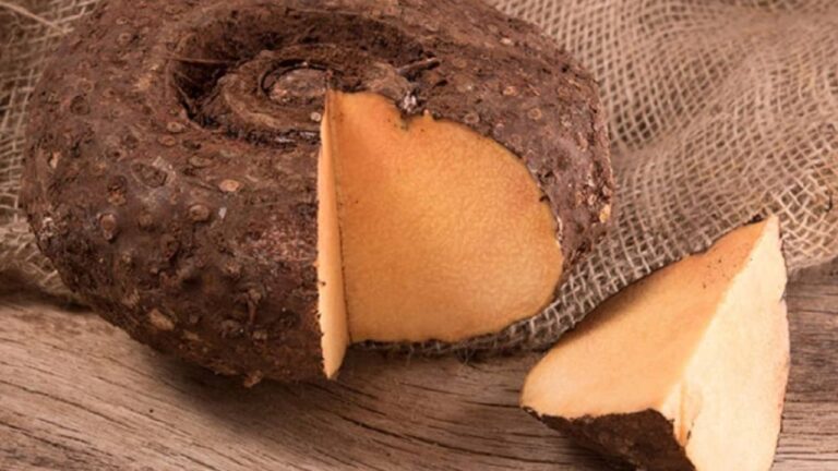 Complete List Of Ayurvedic Oils And Their Uses Explained