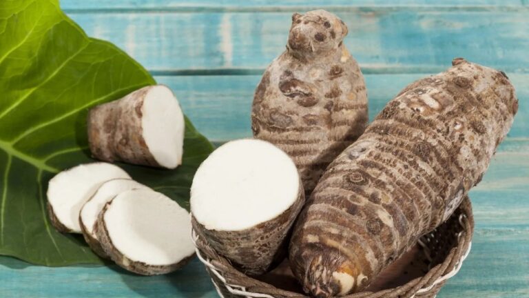Taro Root (Arbi): Ayurvedic Uses, Recipes & Side Effects