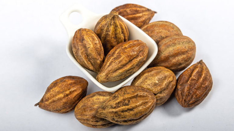 Karakkai In English । Top 10 Benefits and Versatile Uses