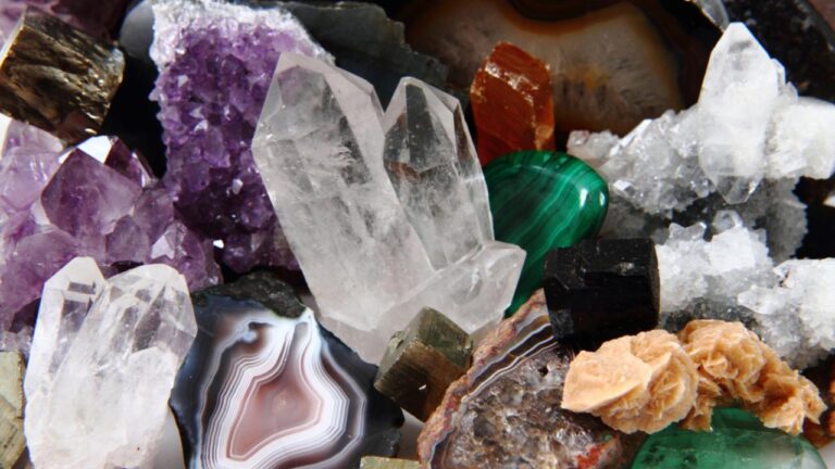 Srotas: Understanding the Channels of Circulation in Ayurveda