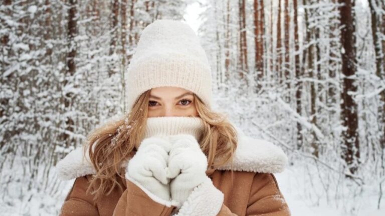 Karakkai In English । Top 10 Benefits and Versatile Uses